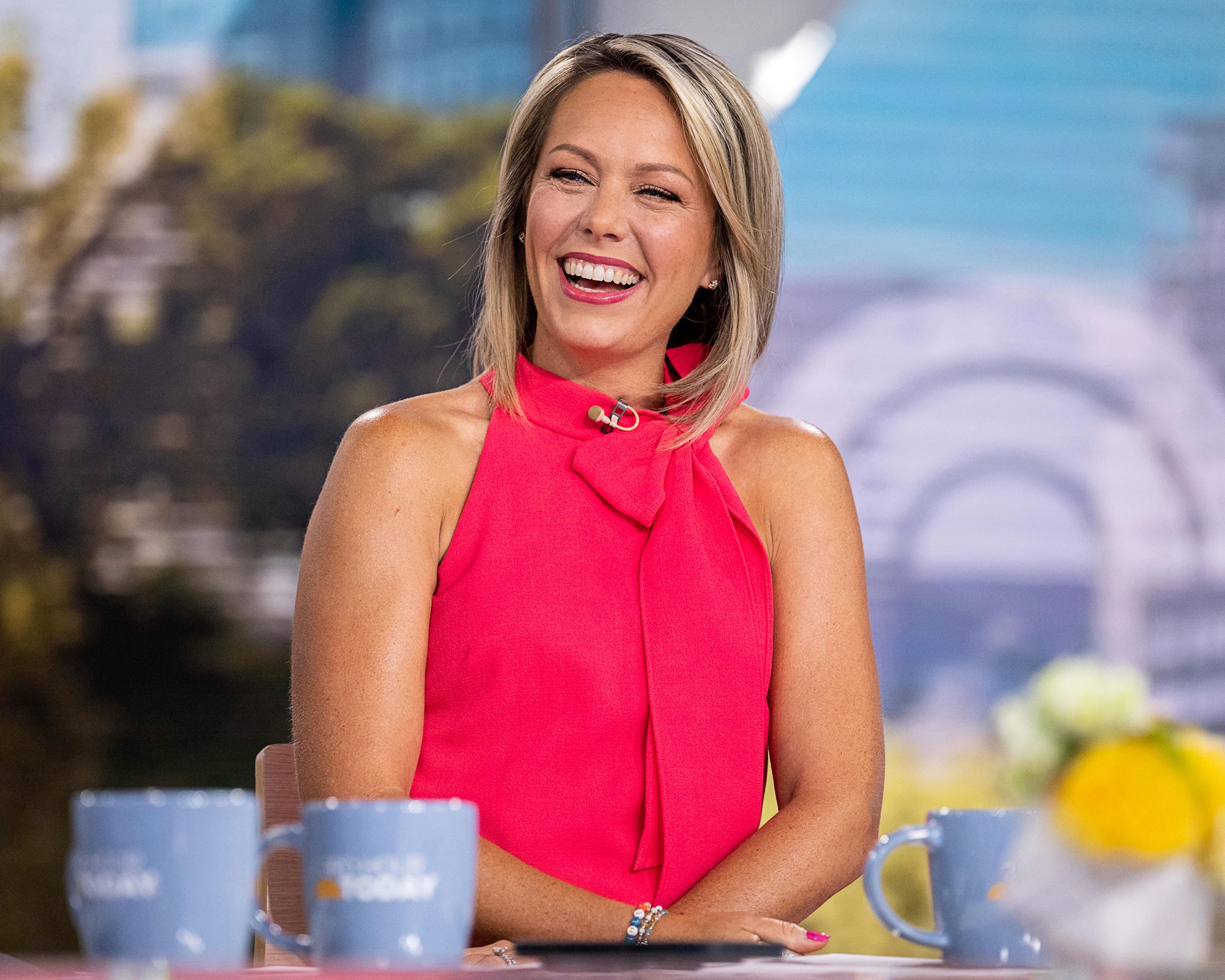 Dylan Dreyer finally breaks her silence on why she was away from the Today show, and it’s not ...