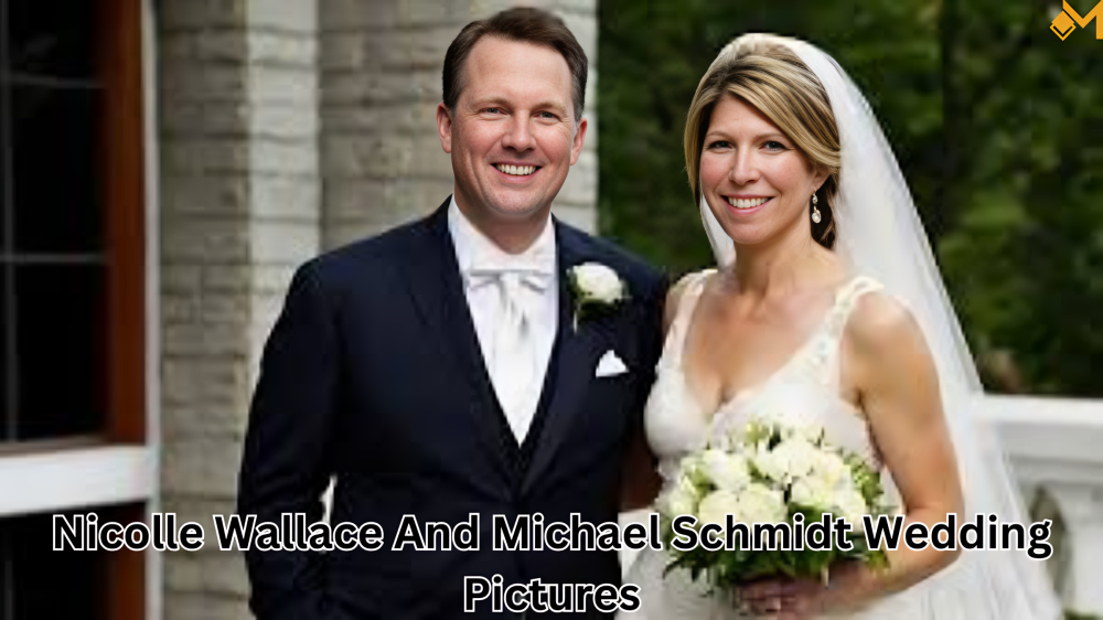 MSNBC anchor Nicolle Wallace opens up about a family shift involving ...